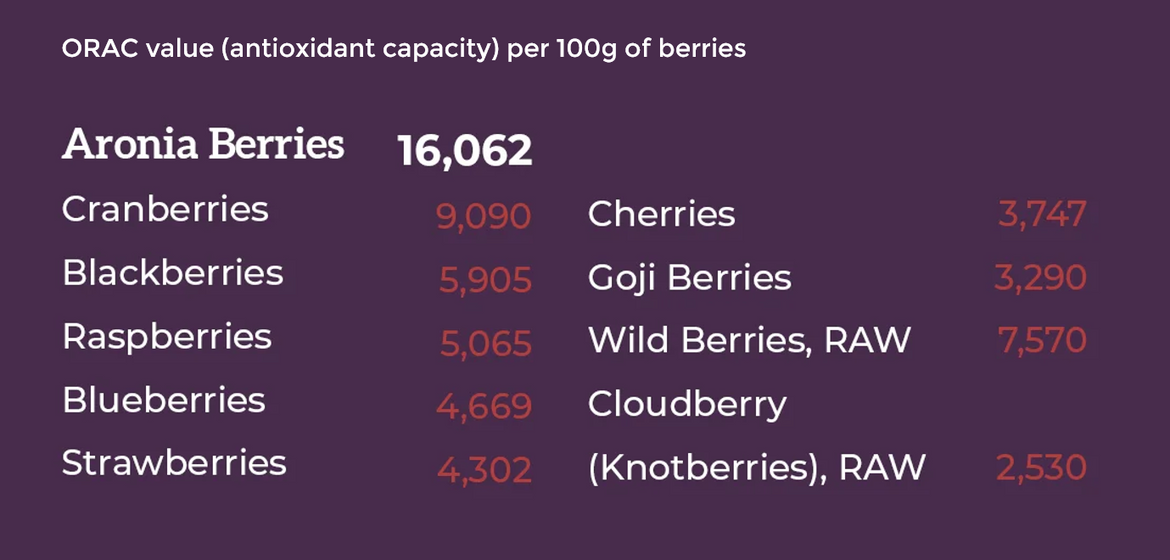 Aronia Treasure – ArmedinaUSA